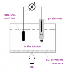 Principle for Measurement of Partial Pressure of Carbon Dioxide